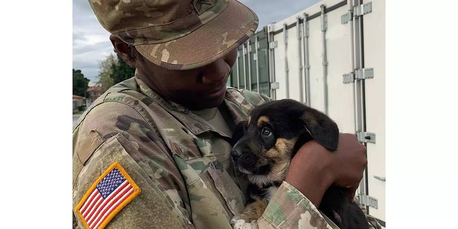 Army sergeant reunites with the pup she bonded overseas