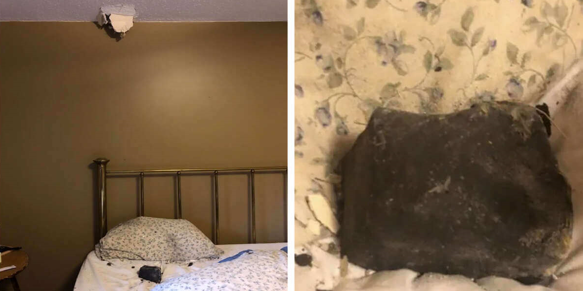 Dog Saves Owners Life Just in Time Before Meteor Crashes onto Bed