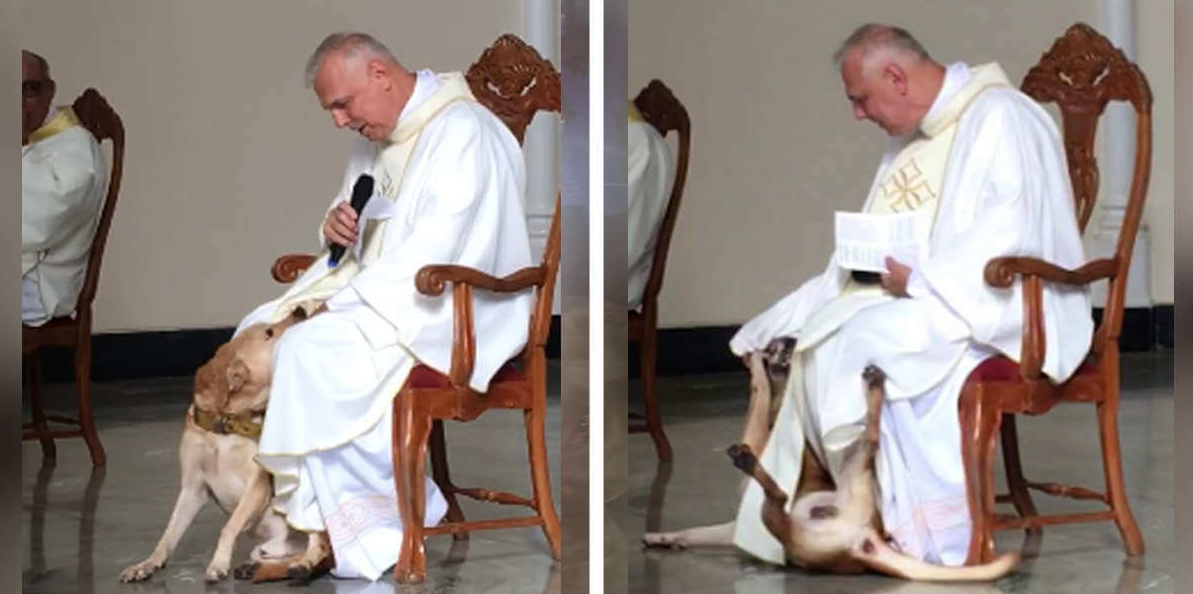 Playful dog disrupts church service and the priest has the best reaction